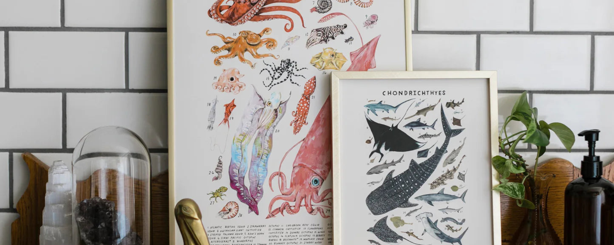 Art Prints – Dapper Mr Bear