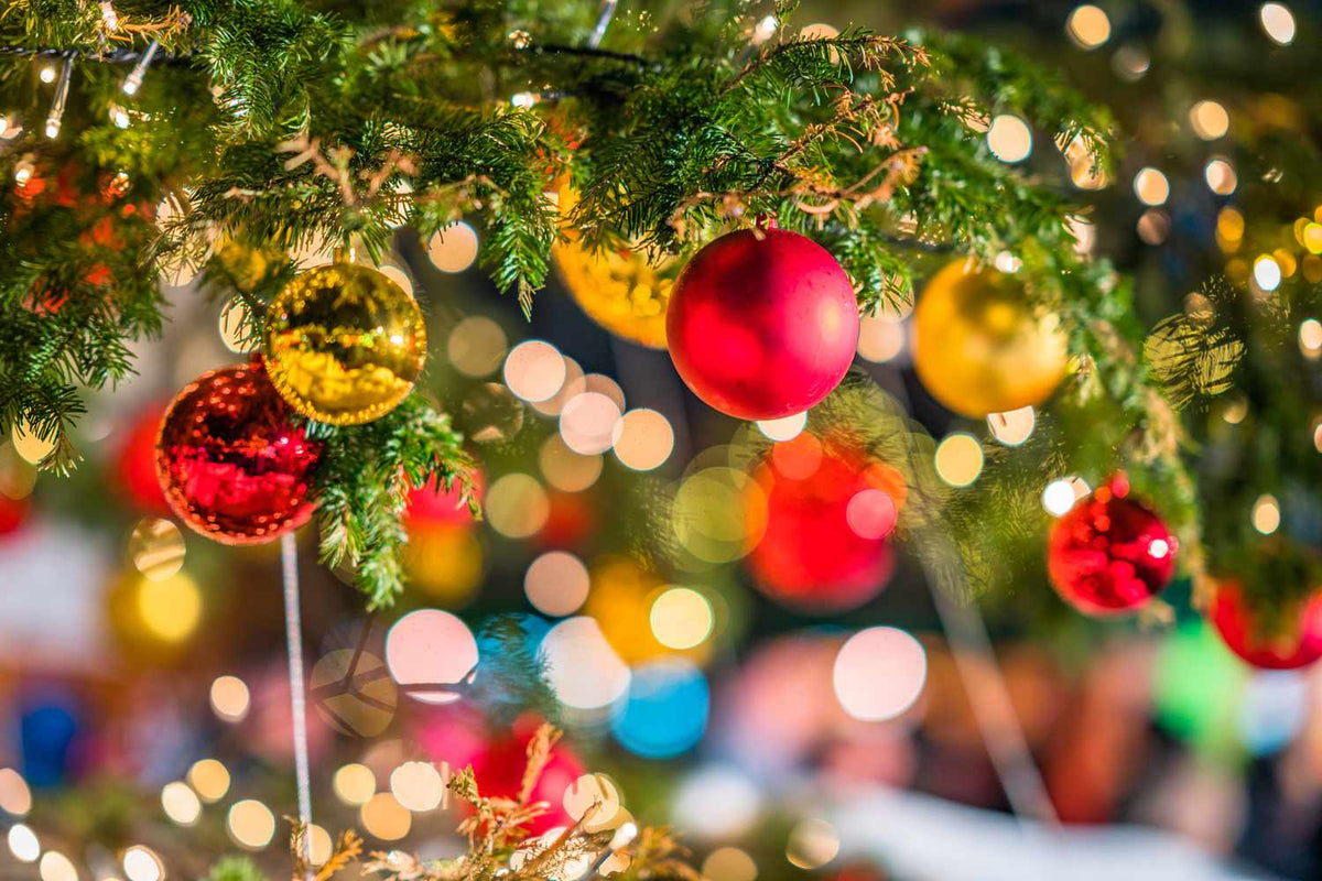 Dapper Mr Bear | NZ based online children's boutique