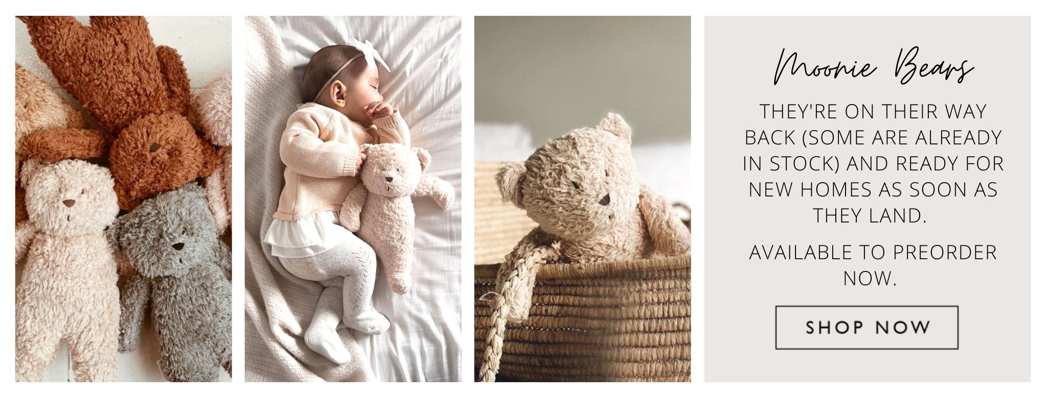 Dapper Mr Bear | NZ based online children's boutique
